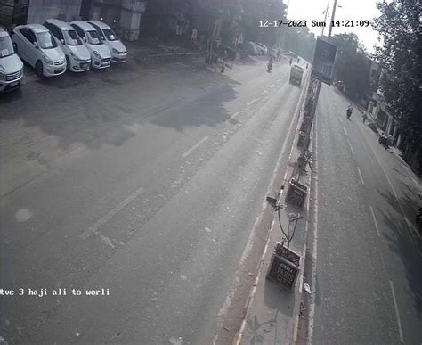 Trafic Object Detection Dataset By Timber