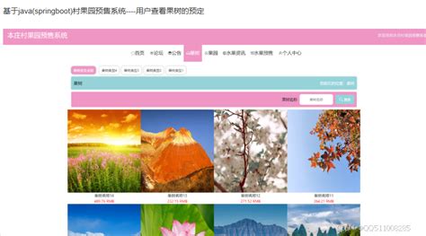 Springbootvue村果园预售系统 Pythonnodejsphp 计算机毕业设计 Csdn博客