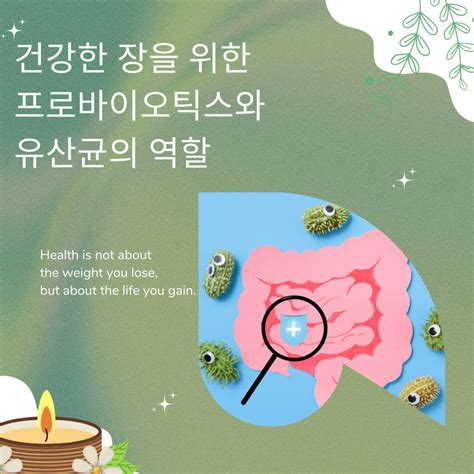 건강한 장을 위한 프로바이오틱스와 유산균의 역할