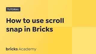 Bricks Official Bricks Bible