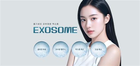 시술상세스킨부스터콜라겐부스터줄기세포 Asce 엑소좀