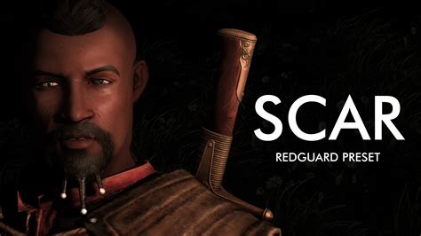 Nolvus Skyrim Ae Modding Guide 5 10 Npcs Nolvus Ascension