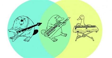 Best Venn Diagram Ever Imgur