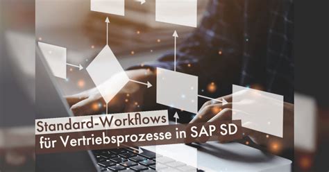 Standard Workflows Für Vertriebsprozesse In Sap Sd Mindlogistik