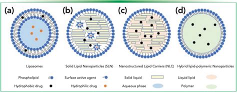 Analysis Of Lipid Nanoparticles