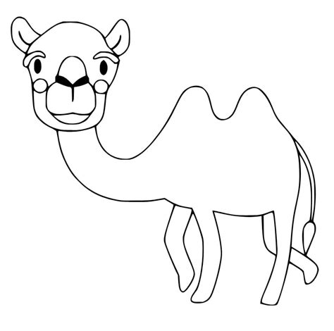 Cute Funny Camel Coloring Page Download Print Or Color Online For Free