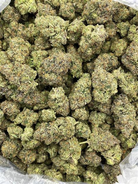 Bubble Gum Runtz Strain