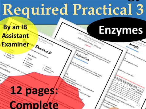 IB Biology Required Practical 3 Enzymes Teaching Resources