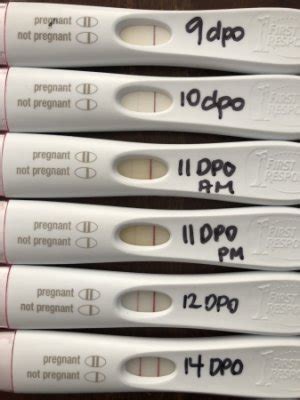 Line Progression BabyCenter