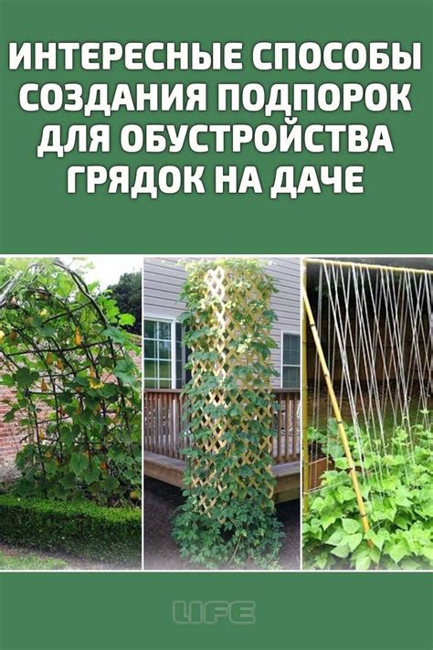 Для дачи Сад на склоне Огород Пермакультура