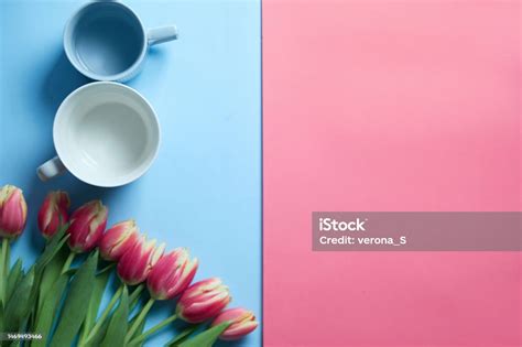 분홍색과 파란색 배경에 분홍색 튤립의 꽃다발 숫자 모양의 컵 8 여성의 날 공간을 복사합니다 어머니의 날 International Womens Day에 대한 스톡 사진 및