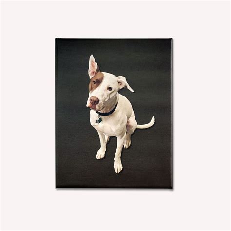 Rectangular Shape Canvas Mpbimage