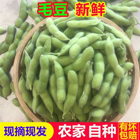 毛豆新鲜带壳青豆嫩黄豆生豆荚商用四川本地农家自种素菜时令疏菜 虎窝淘