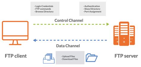 All Common Network Protocols Explained