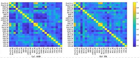 The Averaged Brain Networks Of The Asd And Td Groups A The Averaged Download Scientific