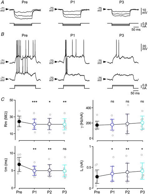 Li Rtms Negatively Alters Resting Integrative Properties And Intrinsic Download Scientific