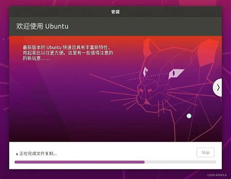 Win10 Ubuntu20 04双系统双硬盘 Ssd Hdd 安装与启动 双硬盘双系统 Csdn博客