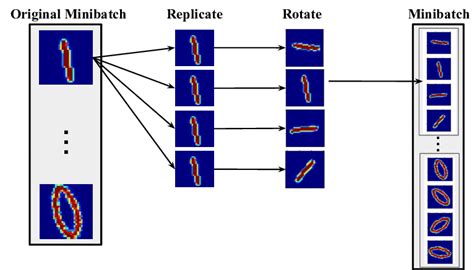 Fig D 1 Cartoon Of The Minibatch Creation Concept In Our Data Download Scientific Diagram