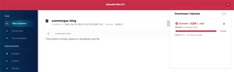 【解决】nginx代理下 Minio上传文件报error Error File Size Too Large 问题minio Error Error File Size Too