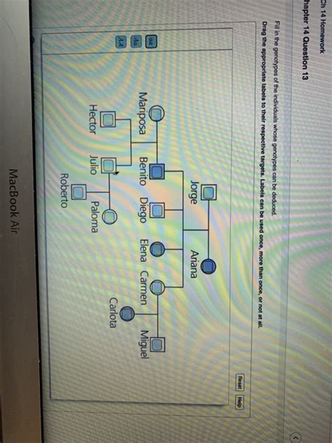 Solved Ch 14 Homework Hapter 14 Question 13 Fill In The Chegg Com