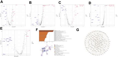 Potential Marker Genes For Chronic Obstructive Pulmonary Disease