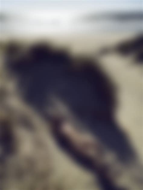 Rebecca Bagnol Beachnymphs