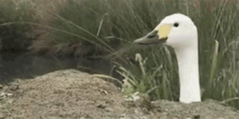 When I Arrive At The Office And My Coworkers Are About To Run A Git