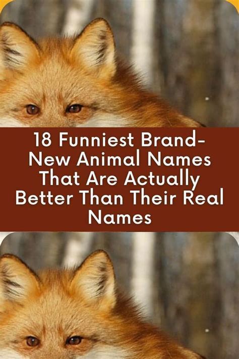 18 Funniest Brand New Animal Names That Are Actually Better Than Their