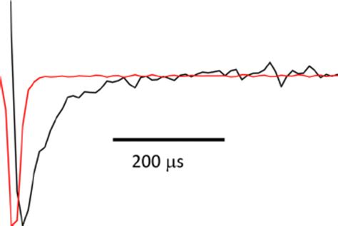 Patch Clamp Speed Peak Normalized Current Traces For The Fast