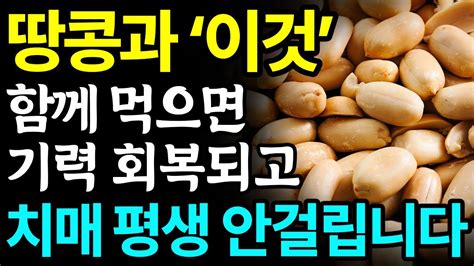 땅콩과 함께 먹으면 보약되는 음식 3가지와 레시피 총정리 값비싼 영양제 대신 이것 드세요 I 치매에 좋은 음식 I Youtube