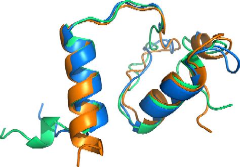 Structural Alignment Of The Three Slh Domains Of The Sap Protein The