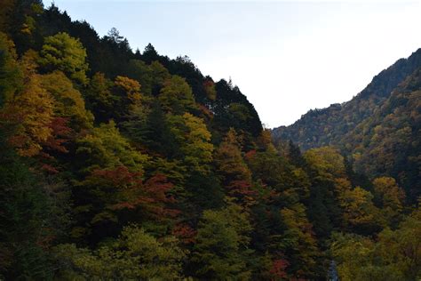 宮田高原黒川渓谷秋の紅葉真っ盛りです 信州みやだ観光ガイド 長野県宮田村木曽駒ヶ岳の観光情報サイト