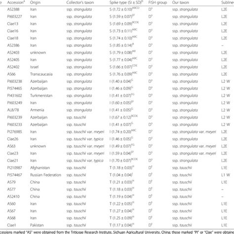 Aegilops Tauschii Accessions Download Table