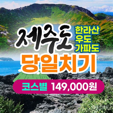 제주도 당일치기 한라산 우도 가파도 매주 화수 출발 149000원 제주도 여행