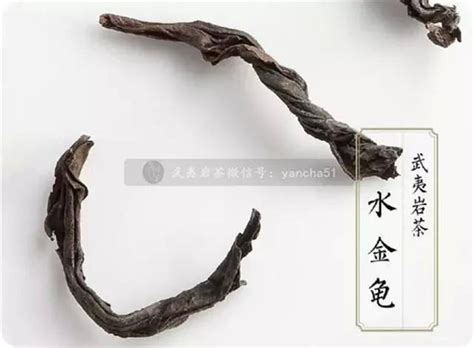 四大名丛 四大菜系 河四大景点 大山谷图库