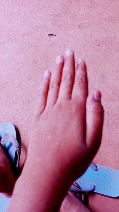 Filter Style Youtube