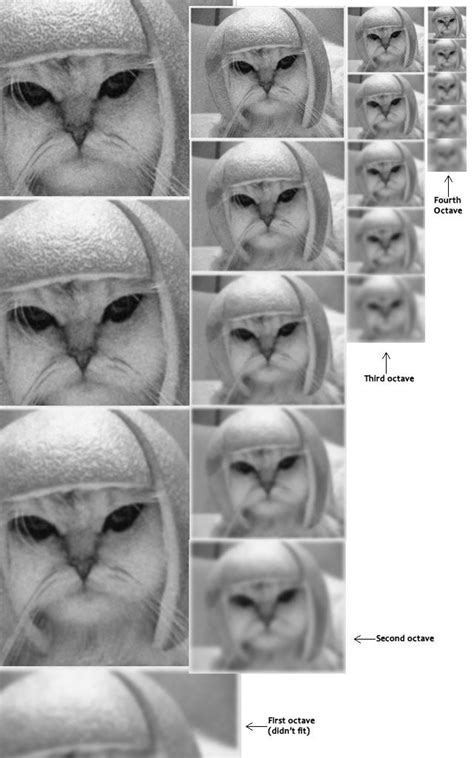 Computer Vision — Scale Invariant Feature Transform Sift By Ray Analytics Vidhya Medium