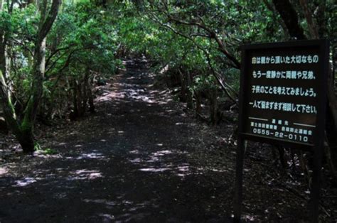 探秘日本富士山下自杀森林 每年移出上百具尸体 组图 2 日本频道 人民网
