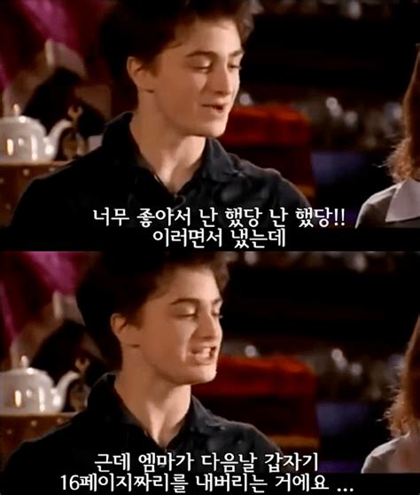 해리포터 전설의 에세이 사건  유머 움짤 이슈 에펨코리아