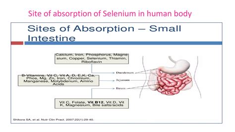Selenium Metabolism And Its Clinical Significance Pdf Chemistry