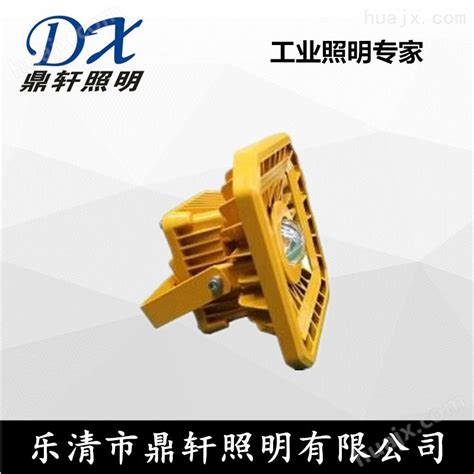 RLB105LED防爆平台灯80W 100W 120W价格 化工机械设备网