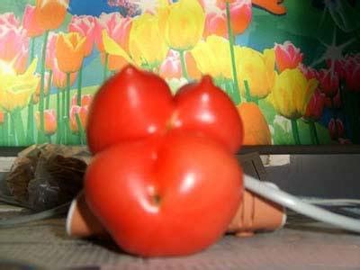 Crazy And Funny Photos Sexy Fruit