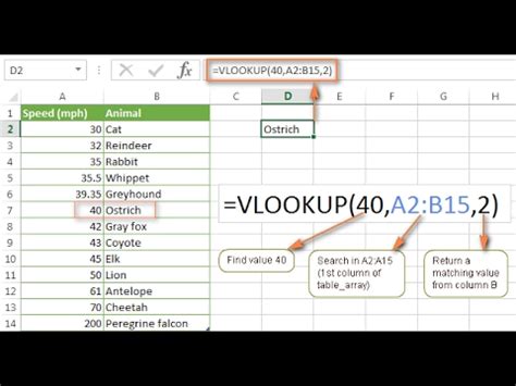 VlookUp Function Excel Easy Tutorial YouTube