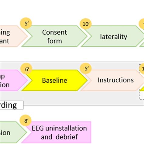 A Common System For Hand Movement Decoding From Eeg And Motion Download Scientific Diagram