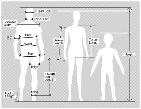 Average Male Arm Length Cm At Anna Beyers Blog