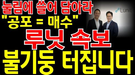 루닛 주가전망 5분전 긴급속보 이번 눌림에 반드시 쓸어 담아라 공포 매수 입니다 이제 정확히 이 때 불기둥