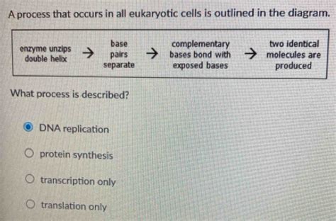 Solved A Process That Occurs In All Eukaryotic Cells Is Outlined In