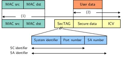 P4 Macsec Dynamic Topology Monitoring And Data Layer Protection With