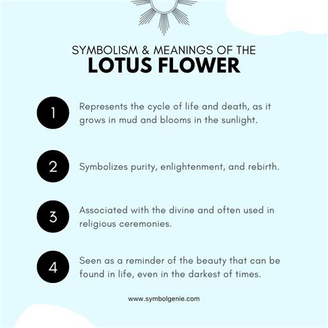 Lotus Flower Symbolism Meanings And History Symbol Genie