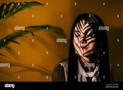 Woman With Leaf Shadow On Face Against Yellow Wall Stock Photo Alamy